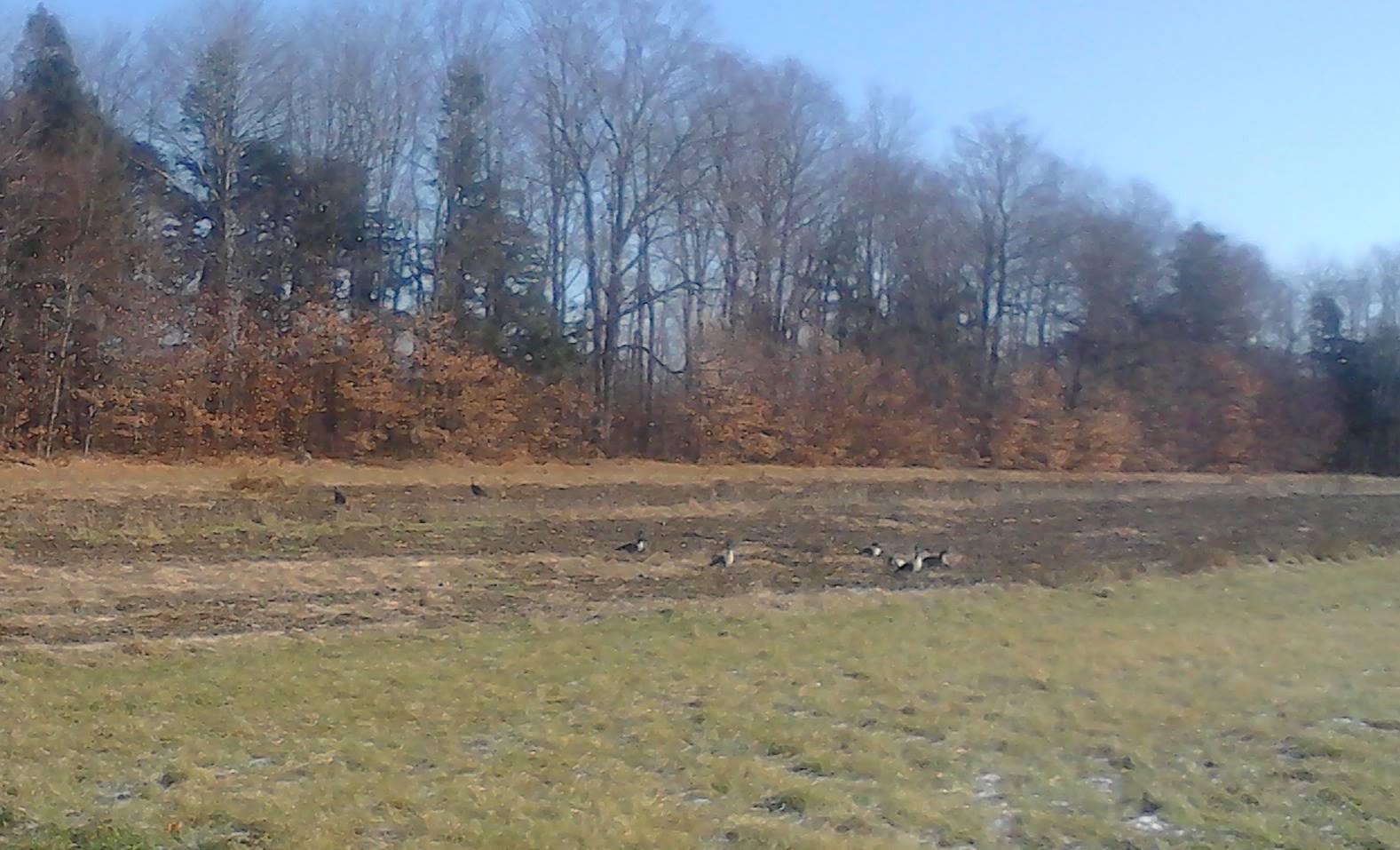 Contact – Two Rock Ridge Farm